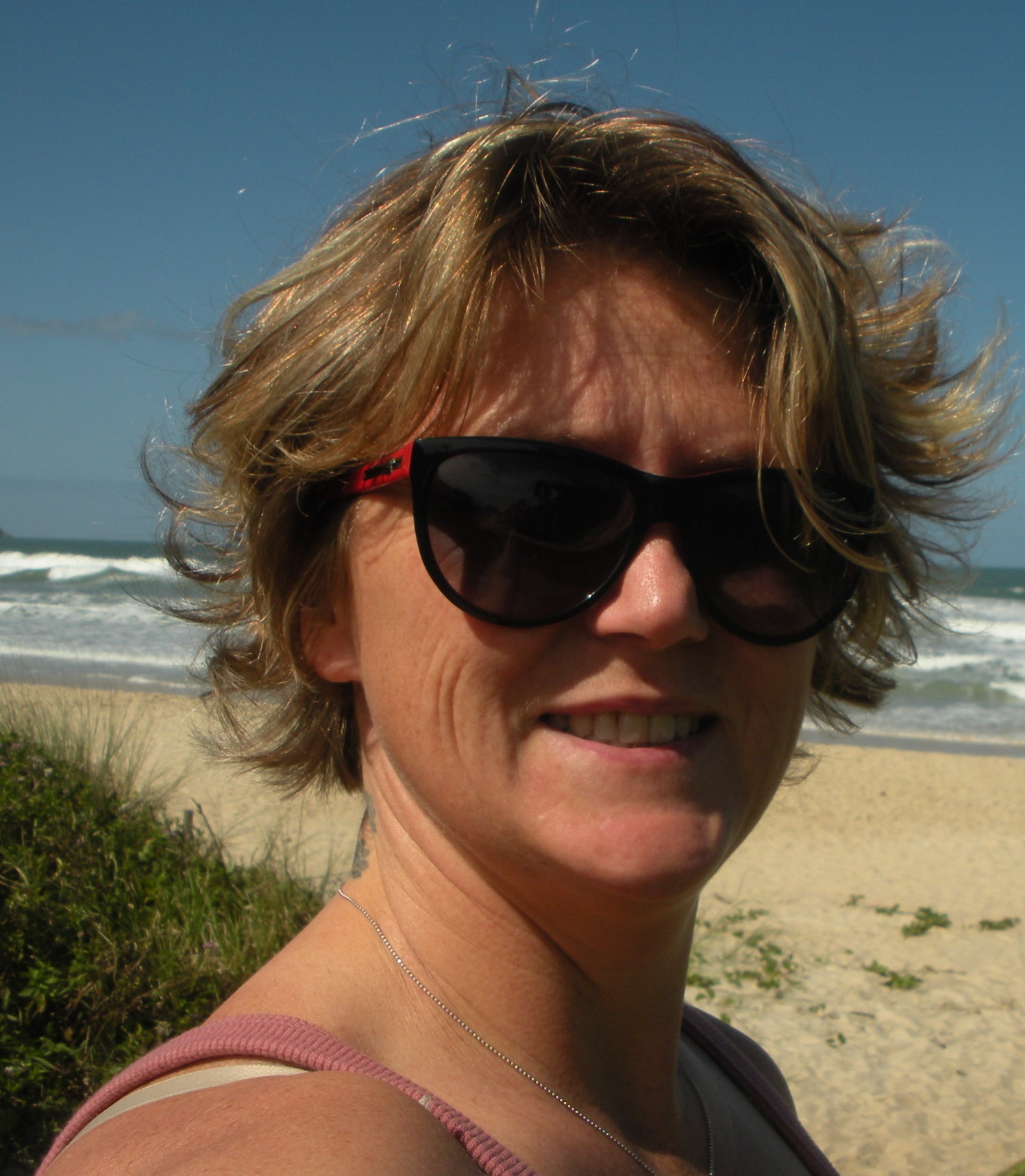 Integrantes – Núcleo de Pesquisa Interdisciplinar Sociedade, Família e ...